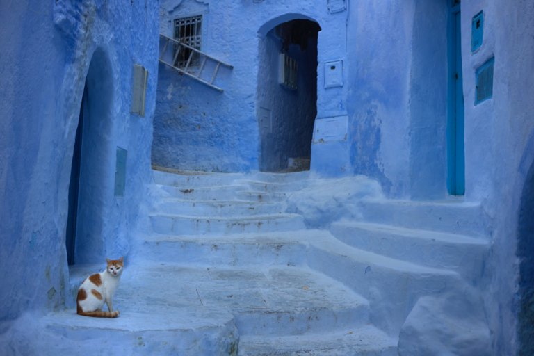 Photo Essay: The Blue City of Chefchaouen, Morocco - James Clear