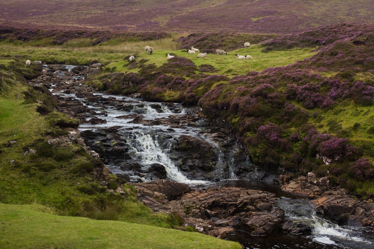 Photo Essay: The Isle of Skye, Scotland - James Clear